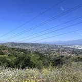 Powder Canyon Loop Trail, California - 2,376 Reviews, Map | AllTrails