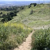 Powder Canyon Loop Trail, California - 2,376 Reviews, Map | AllTrails