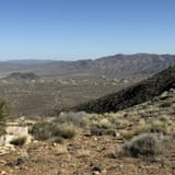 Ryan Mountain, California - 7,539 Reviews, Map | AllTrails