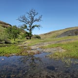 Phantom Falls Loop, California - 1,127 Reviews, Map | AllTrails