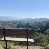 Fryman Canyon Trail, California - 6,296 Reviews, Map | AllTrails