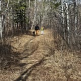 Empire Mine via Samelius Trailhead, South Dakota - 374 Reviews, Map ...