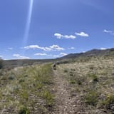 Tom Cooke and Steamboat Ditch Loop, Nevada - 1,252 Reviews, Map | AllTrails