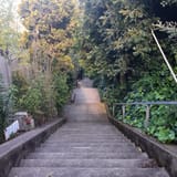 Vulcan Steps, California - 40 Reviews, Map | AllTrails