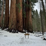 Congress Trail, California - 2,909 Reviews, Map | AllTrails