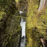 Sol Duc Falls Trail, Washington - 4,638 Reviews, Map | AllTrails