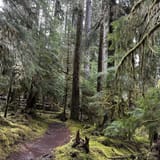 Sol Duc Falls Trail, Washington - 4,638 Reviews, Map | AllTrails