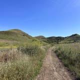 Autumn Ridge Trail, California - 397 Reviews, Map | AllTrails