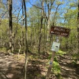 Bull Hill Full Loop, New York - 5,495 Reviews, Map | AllTrails
