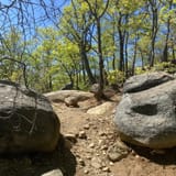 Bull Hill Full Loop, New York - 5,495 Reviews, Map | AllTrails