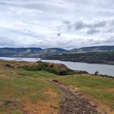 Rowena Plateau Trail, Oregon - 845 Reviews, Map | AllTrails