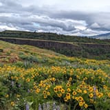 Rowena Plateau Trail, Oregon - 845 Reviews, Map | AllTrails