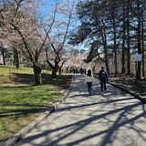 High Park Loop, Ontario, Canada - 1,154 Reviews, Map | AllTrails