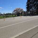 High Park Loop, Ontario, Canada - 1,154 Reviews, Map | AllTrails