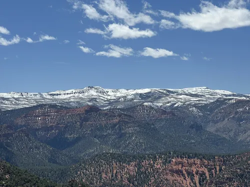 Best Forest Trails in Parowan | AllTrails