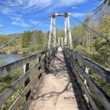 The Manistee River Loop Trail, Michigan - 2,069 Reviews, Map | AllTrails