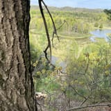 The Manistee River Loop Trail, Michigan - 2,069 Reviews, Map | AllTrails