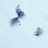 Bonanza Creek Bluff Viewpoint Trail, Alaska - 10 Reviews, Map | AllTrails