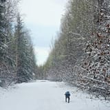 Bonanza Creek Bluff Viewpoint Trail, Alaska - 10 Reviews, Map | AllTrails