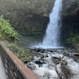 Latourell Falls Loop, Oregon - 6,666 Reviews, Map | AllTrails