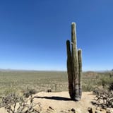 Valley View Overlook Trail, Arizona - 1,537 Reviews, Map | AllTrails