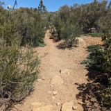 Corte Madera Mountain Trail, California - 1,736 Reviews, Map | AllTrails