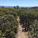Corte Madera Mountain Trail, California - 1,736 Reviews, Map | AllTrails