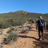 Corte Madera Mountain Trail, California - 1,723 Reviews, Map | AllTrails