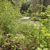 Woodburn Falls and Round Lake via Lake to Lake Trail, Washington ...