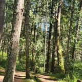 Yellow Point Bog Ecological Reserve and Yellow Point Park Loop, British ...