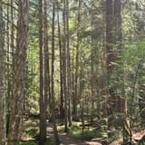 Yellow Point Bog Ecological Reserve and Yellow Point Park Loop, British ...