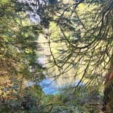 Yellow Point Bog Ecological Reserve and Yellow Point Park Loop, British ...