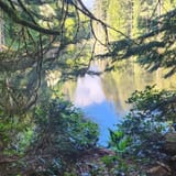 Yellow Point Bog Ecological Reserve and Yellow Point Park Loop, British ...