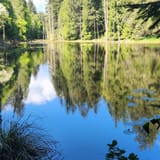 Yellow Point Bog Ecological Reserve and Yellow Point Park Loop, British ...