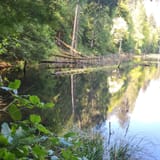 Yellow Point Bog Ecological Reserve and Yellow Point Park Loop, British ...