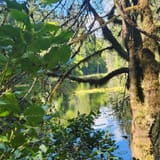 Yellow Point Bog Ecological Reserve and Yellow Point Park Loop, British ...