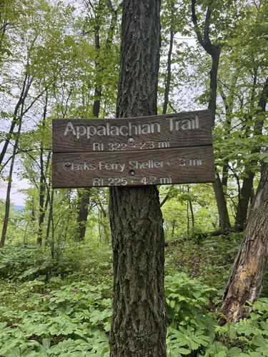 Best Hikes and Trails in Reed | AllTrails