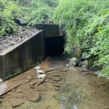 Lake Redman Loop, Pennsylvania - 340 Reviews, Map | AllTrails