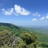 Signal Hill Trail, Arkansas - 932 Reviews, Map | AllTrails