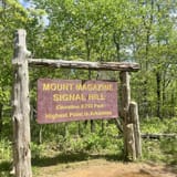 Signal Hill Trail, Arkansas - 851 Reviews, Map | AllTrails
