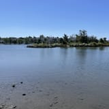 Lake Merritt, California - 3,587 Reviews, Map | AllTrails