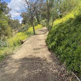 Murphy Ranch Trail , California - 1,495 Reviews, Map | AllTrails