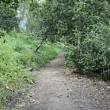 Murphy Ranch Trail , California - 1,346 Reviews, Map | AllTrails