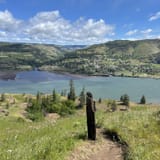 Rowena Plateau Trail, Oregon - 845 Reviews, Map | AllTrails