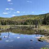 Jordan Valley Pathway, Michigan - 739 Reviews, Map | AllTrails