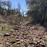 Parallel Forest Trail, Oklahoma - 408 Reviews, Map | AllTrails