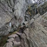 Wilburn Ridge via Appalachian Trail, Virginia - 2,035 Reviews, Map ...