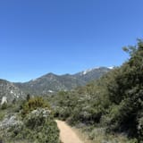 Stoddard Peak, California - 2,231 Reviews, Map | AllTrails