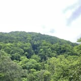 Mount Atago Loop, Kyoto, Japan - 182 Reviews, Map | AllTrails