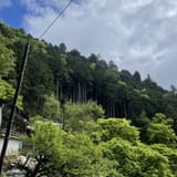 Mount Atago Loop, Kyoto, Japan - 182 Reviews, Map | AllTrails